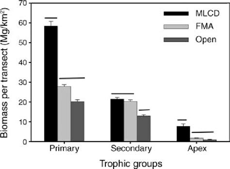 Biomass Per Transect Mgkm 2 Mean þ Se By Trophic Guild And