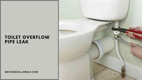 What Is An Overflow Pipe How To Fix A Leaking Overflow Pipe