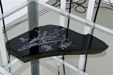 Regina De Miguel Rtve Es