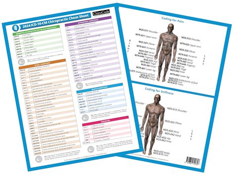 Chiropractic ICD 10 CM Cheat Sheet For 2024 Amazon Com Br