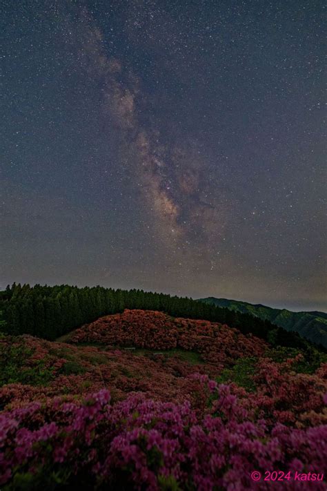 星降る夜に GANREF