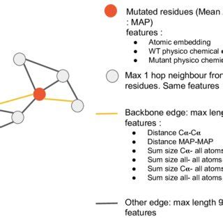 Definition Of The Residue Sub Graph Build Around Mutated Residues Download Scientific Diagram