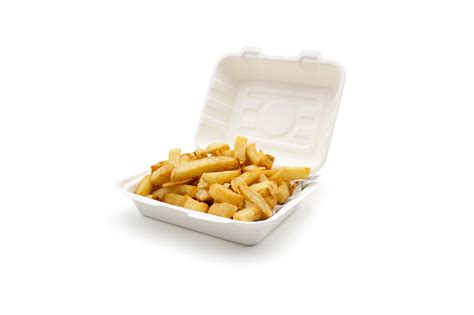 Small Bagasse Bio Box Greenpak Supplies