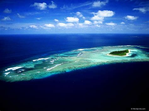 250 Літо шпалери на робочий стіл Hd Скачати Безкоштовно заставки