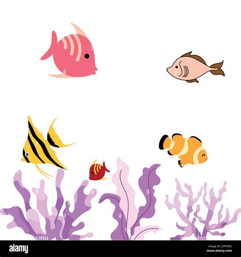 Colorful Fish Tank Fish Tank Setup Beautiful Fishes In Fish Tank