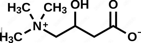 Levocarnitine Structural Formula Vector Illustration Stock Vector Adobe Stock