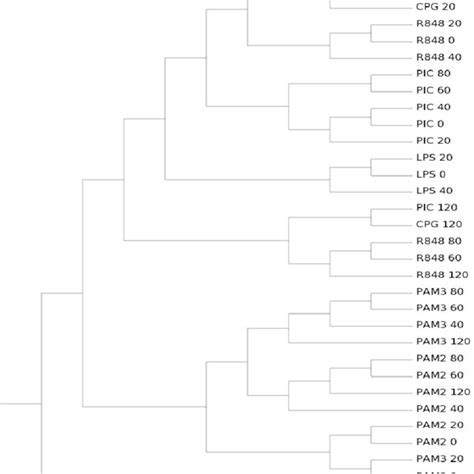 Clustering Of Simulated Data Using Euclidean Distance Transcript Download Scientific Diagram