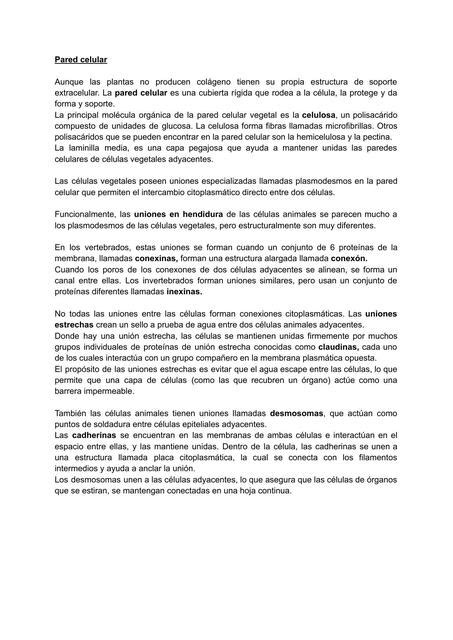 Pared Celular Chemnotes By Dm Udocz Pared Celular Chemnotes By Dm Udocz