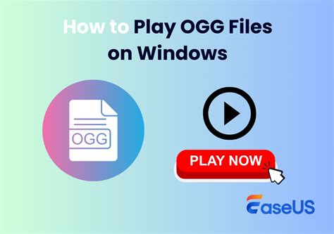 Best Ways To Play MKV Files On Windows