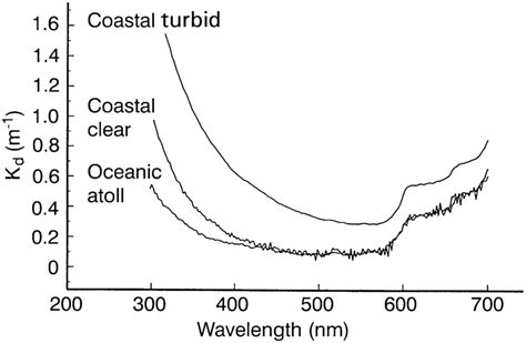 Diffuse Attenuation Coefficient For Downward Irradiance For Various Download Scientific Diagram