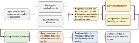 Work Flow For Segmentation And Image Analysis Download Scientific Diagram