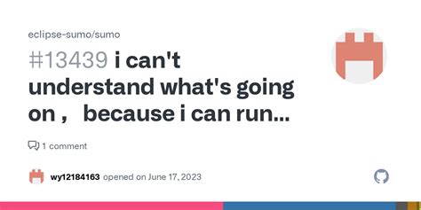 I Cant Understand Whats Going On ，because I Can Run Sumocfg Properly