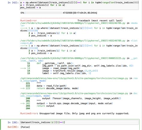 Not Able To Iterate A Custom Dataset Vision Pytorch Forums
