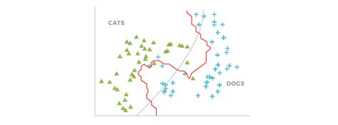 Machine Learning Bridging Between Business And Data Science Altexsoft