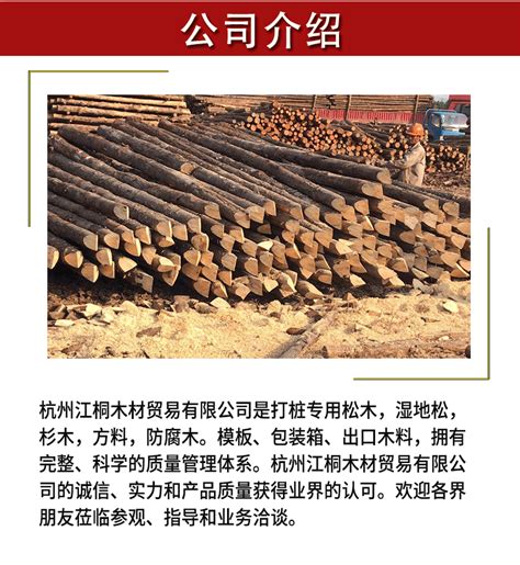 厂家批发湿地松落叶松原木桩河道防汛打桩松木桩工地建筑用松木桩 阿里巴巴