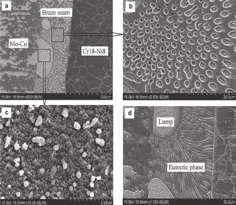 Microstructure Characteristics Of A Joint B Eutectic Phase C Download Scientific