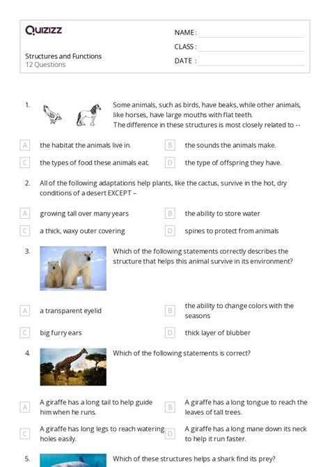 50 Functions Worksheets On Quizizz Free And Printable