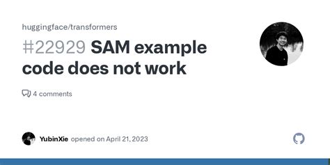 Sam Example Code Does Not Work · Issue 22929 · Huggingfacetransformers · Github