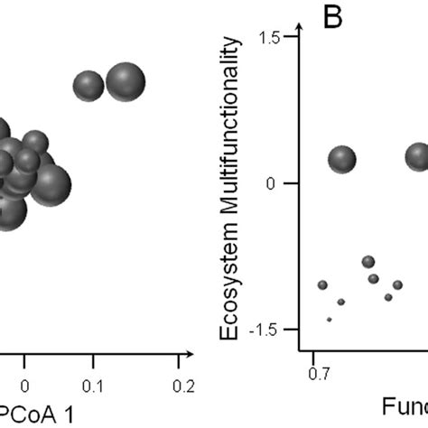 Relationships Between Community Structure And Ecosystem Download Scientific Diagram