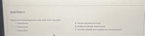 Solved Question 5match The Following Bone Cells With Their