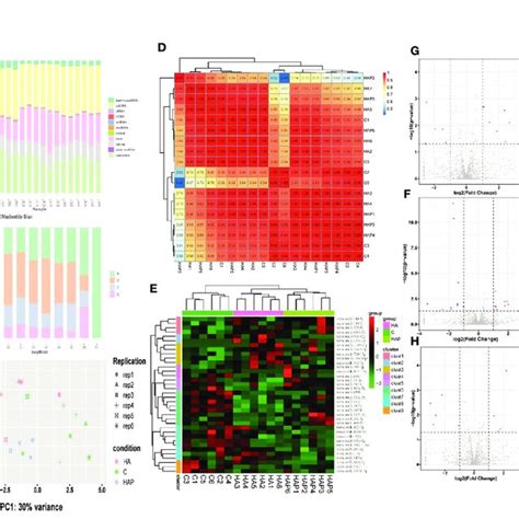 Mirna Sequencing Analysis A Unique Reads Of Small Rna Classification