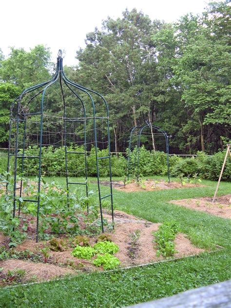 A four-square kitchen garden - North Country Reflections