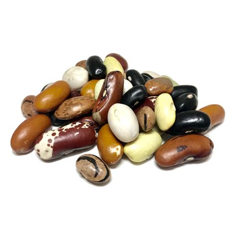 Collection Of Dry Beans PNG PlusPNG