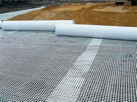 Enhancing Drainage Efficiency With Geonet Hdpe Industry Case Analysis