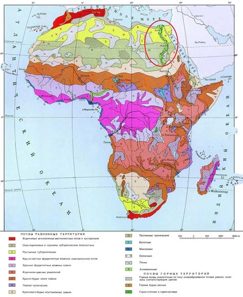 какие почвы в Египте Школьные Знания Com