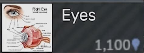 War Thunder Eyes Meme War Thunder Eyes Discover And Share S