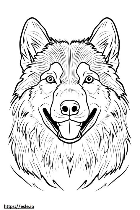 Alaskan Malamute Face Coloring Page
