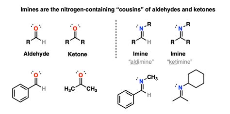 Difference Between Amine And Amide Definition Structure