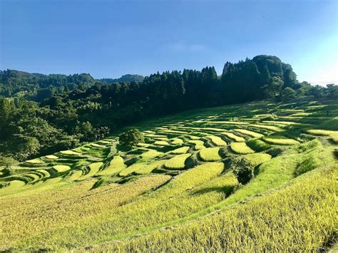房総丘陵大山千枚田山と街を巡る旅 環YAMAP