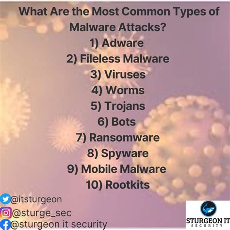 Sturgeon It On Linkedin Cybersecurity Hacking Security Technology Infosec Cybercrime