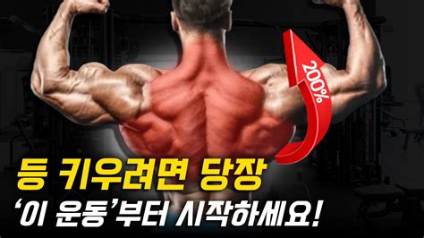 등 근육을 키우려면 무조건 이 운동부터 시작하는게 좋습니다 Youtube