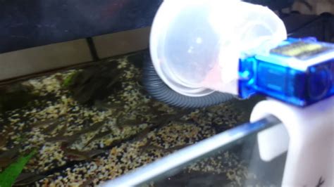 IOT Arduino Vacation Fish Feeder YouTube