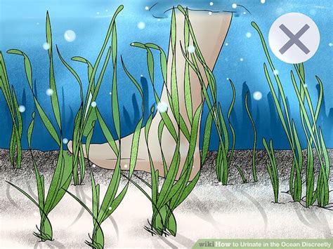 How To Urinate In The Ocean Discreetly With Pictures Wikihow