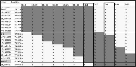Genetic Map Positions Of The 1rs 1bs Translocation Breakpoints In The Download Scientific