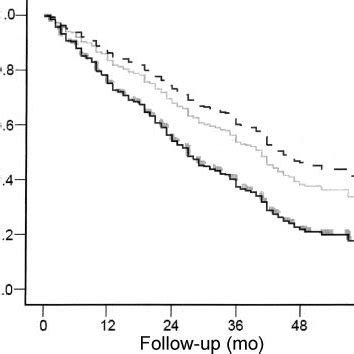 Cox Regression Plot For Survival In Different Bodycomposition Groups Download Scientific