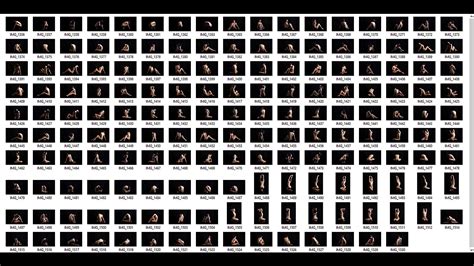 Nude Art Reference Vol