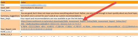 Excel Skills Assessment Report Instructions • Za