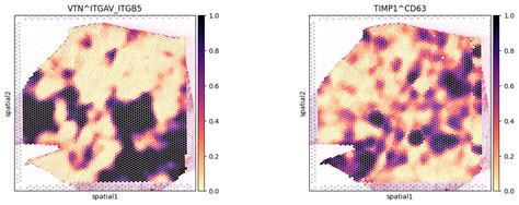 Spatially Informed Bivariate Metrics — Liana Documentation