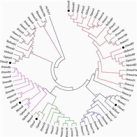 Minimum Evolution Me Phylogenetic Tree Of Corbicula Fluminea And
