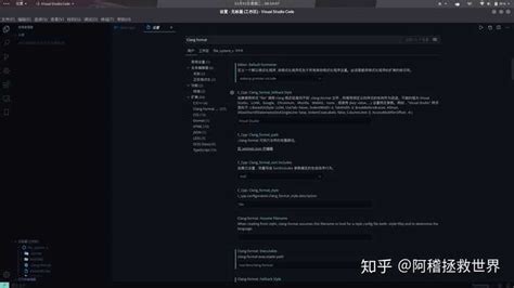 如何解决vscode语言服务器崩溃？ 知乎