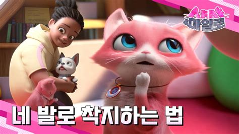 샤샤 마일로 네 발로 착지하는 비법은 그냥 타고난 거야 YouTube