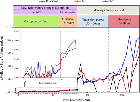 Insight Into Influence Of Degradation Metabolism Of Firmicutes On The Microstructure Of