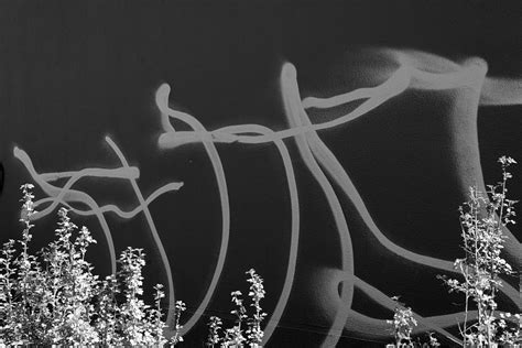 Organic Forms Markus Spring Photography