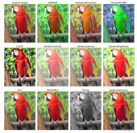 Data Augmentation 基于albumentations库的图像数据增强albumentations图像增强 Csdn博客