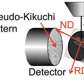 EBSD Specimen And Coordinate System Of EBSD Analysis Download Scientific Diagram