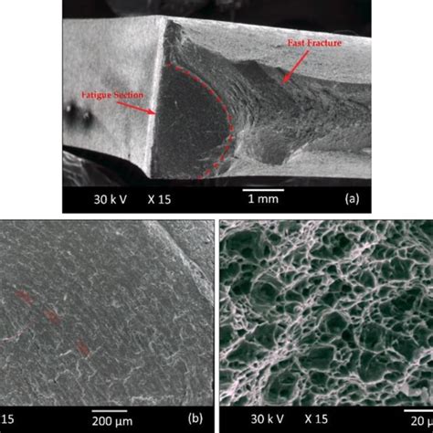 A Fracture Surfaces With B Fatigue And C Fast Fracture Sections
